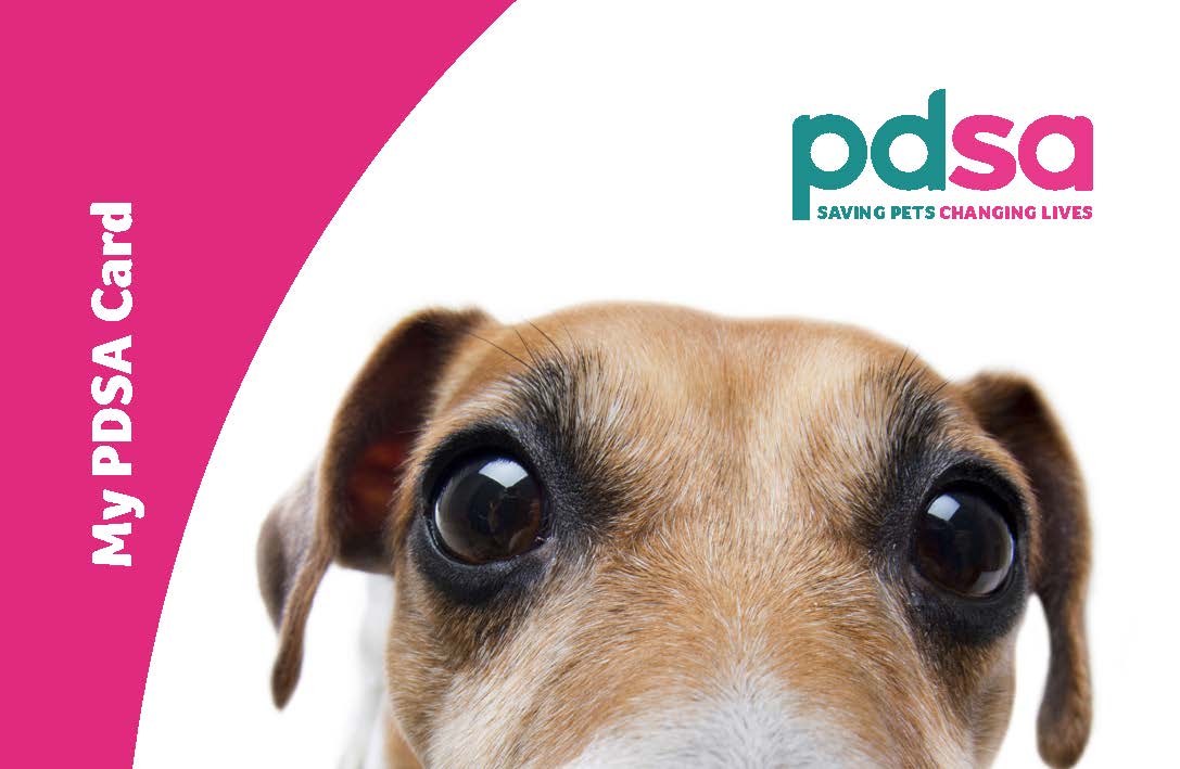 Retail Gift Aid Application - PDSA