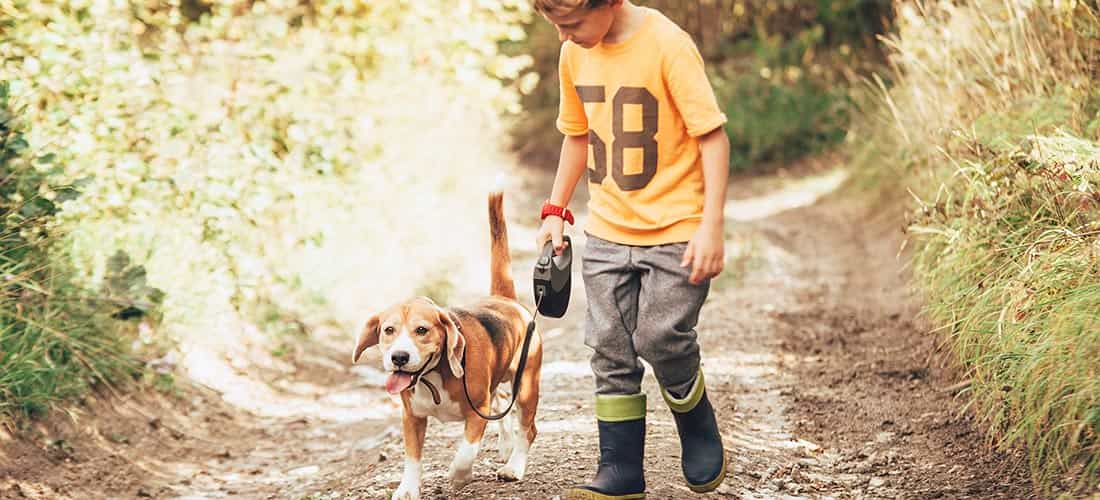 Children and dogs - PDSA