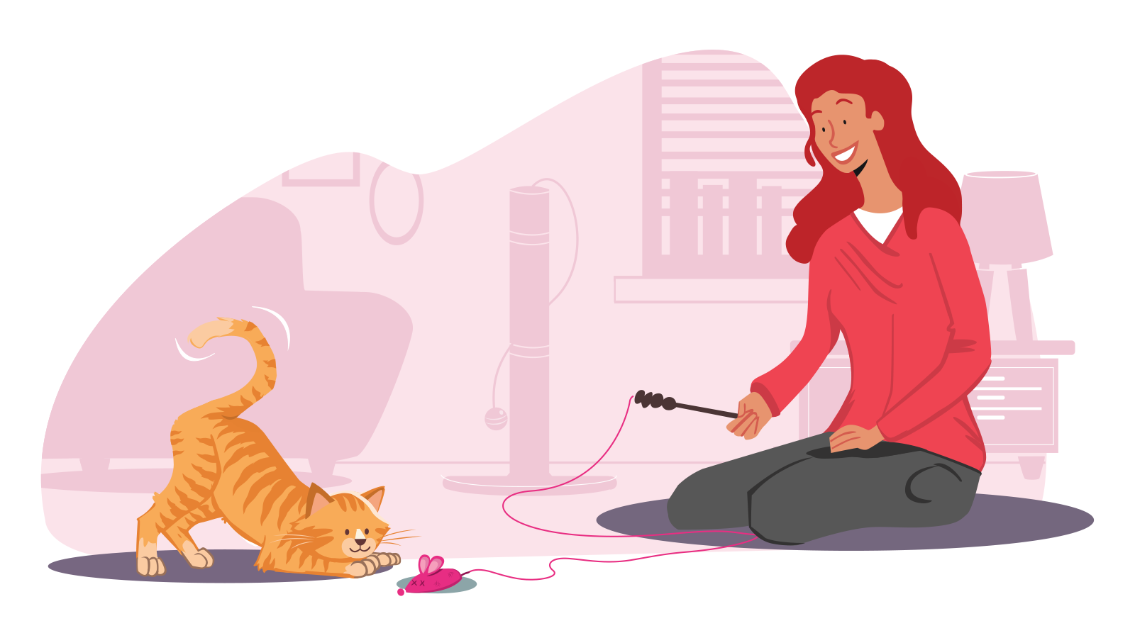 How to exercise your cat - PDSA