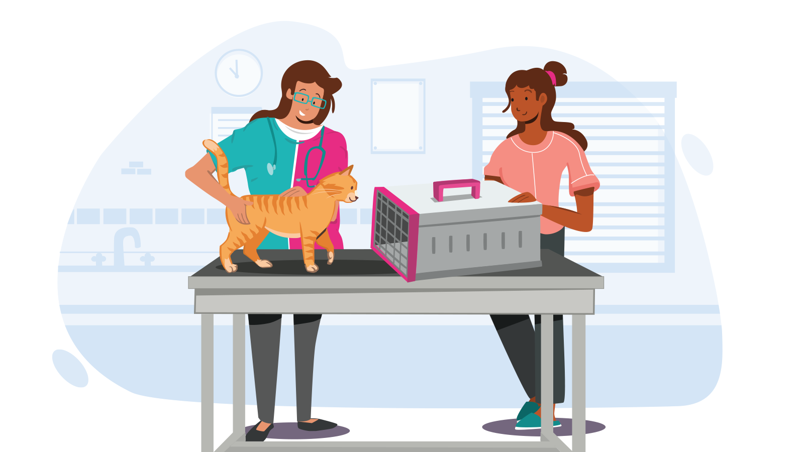 Your cat's Body Condition Score - PDSA