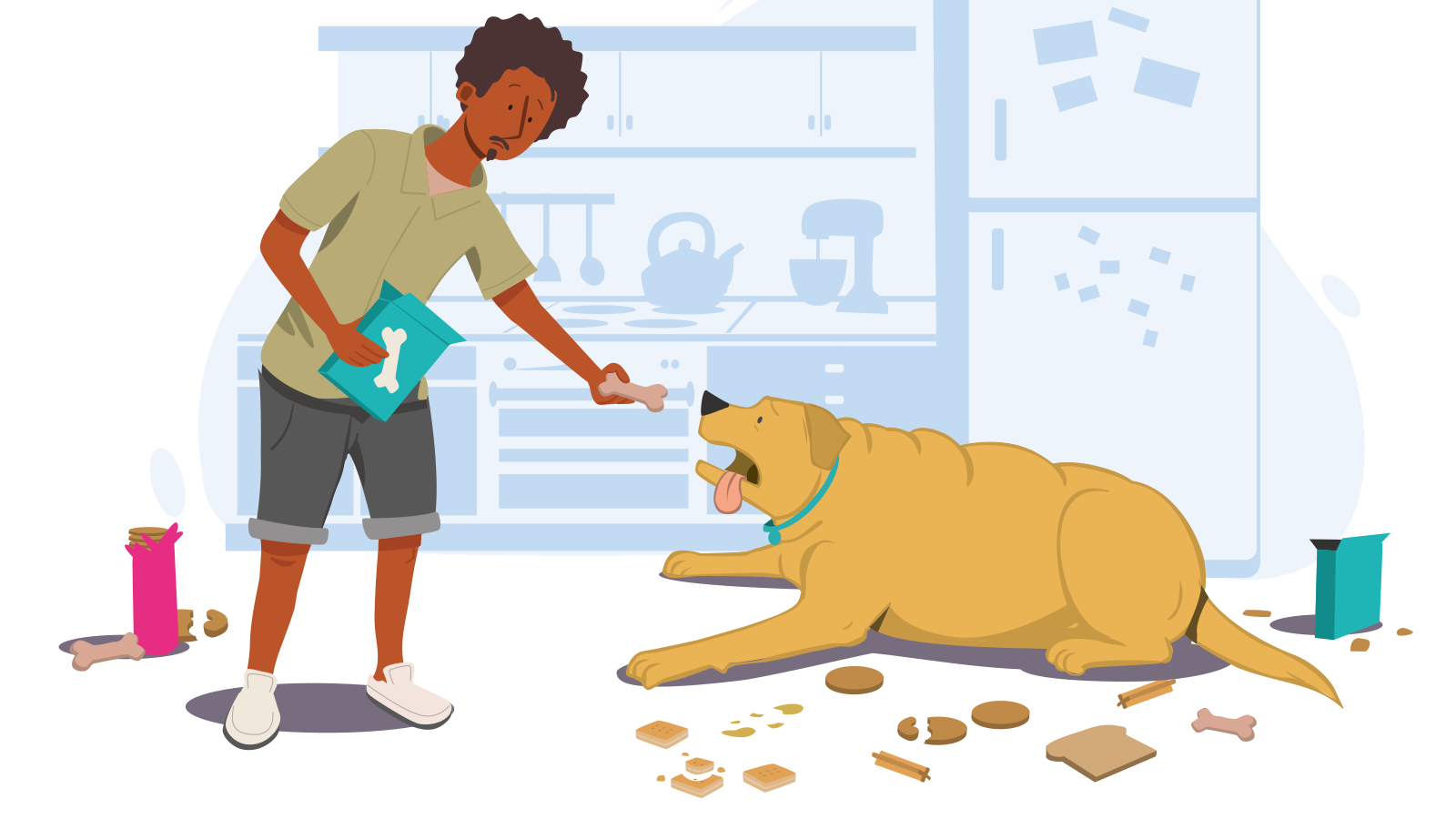 What Animals Do Pdsa Treat at Lawrence Henry blog