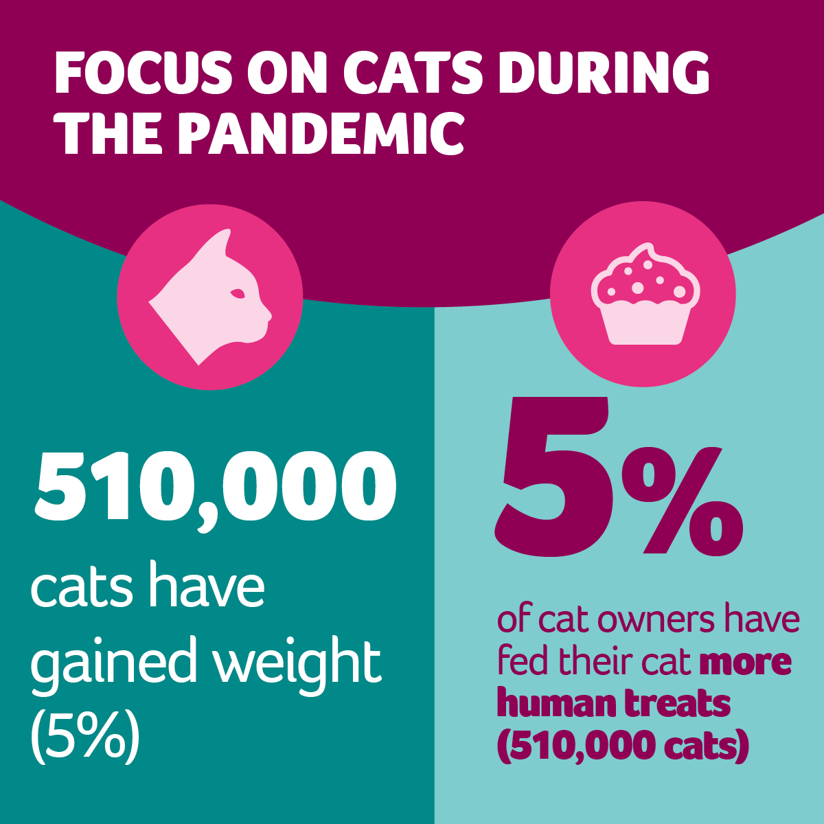 Your cat's body shape - PDSA