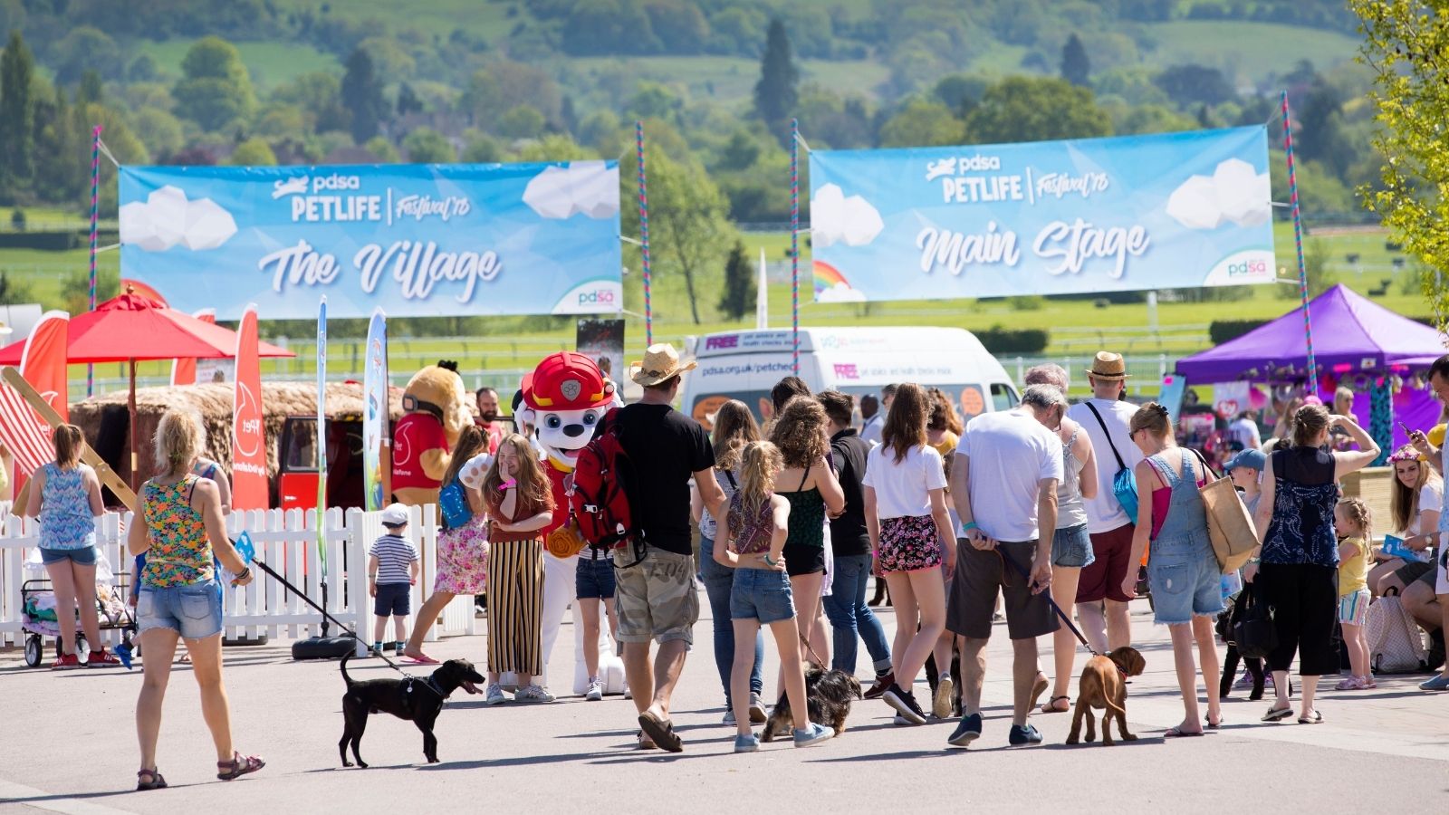 10 things to consider when organising a dog-friendly festival - PDSA
