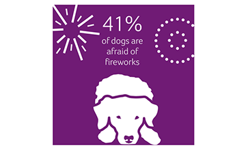 PAW Report - PDSA