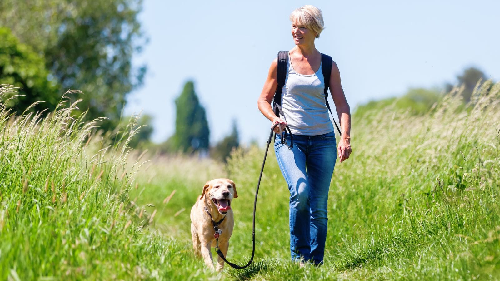 Taking your dog for a countryside walk - PDSA