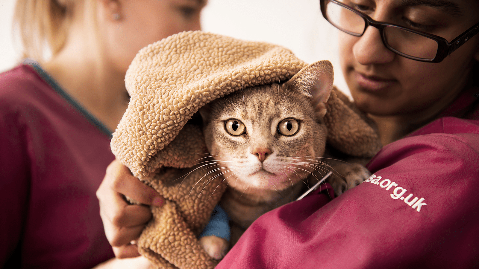 Changes at RSPCA’s Merthyr Tydfil Animal Clinic - PDSA