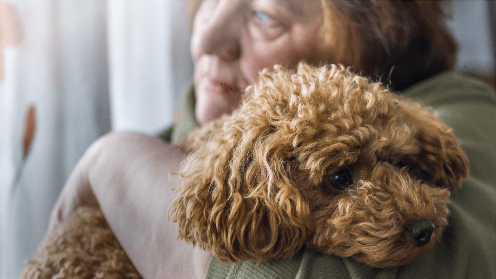 Cost of loving crisis - help us save pets - PDSA