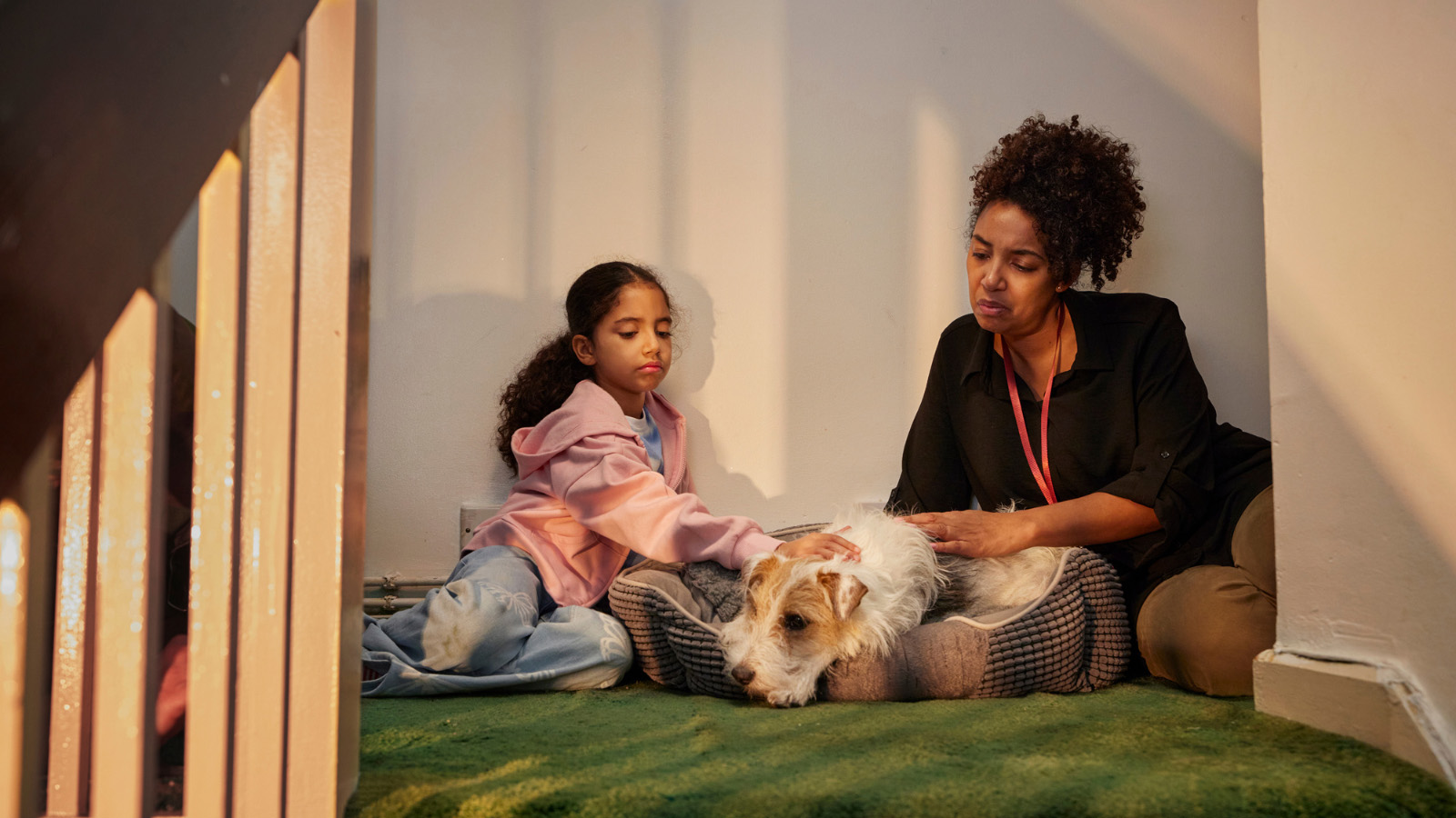 Cost of loving crisis - help us save pets - PDSA