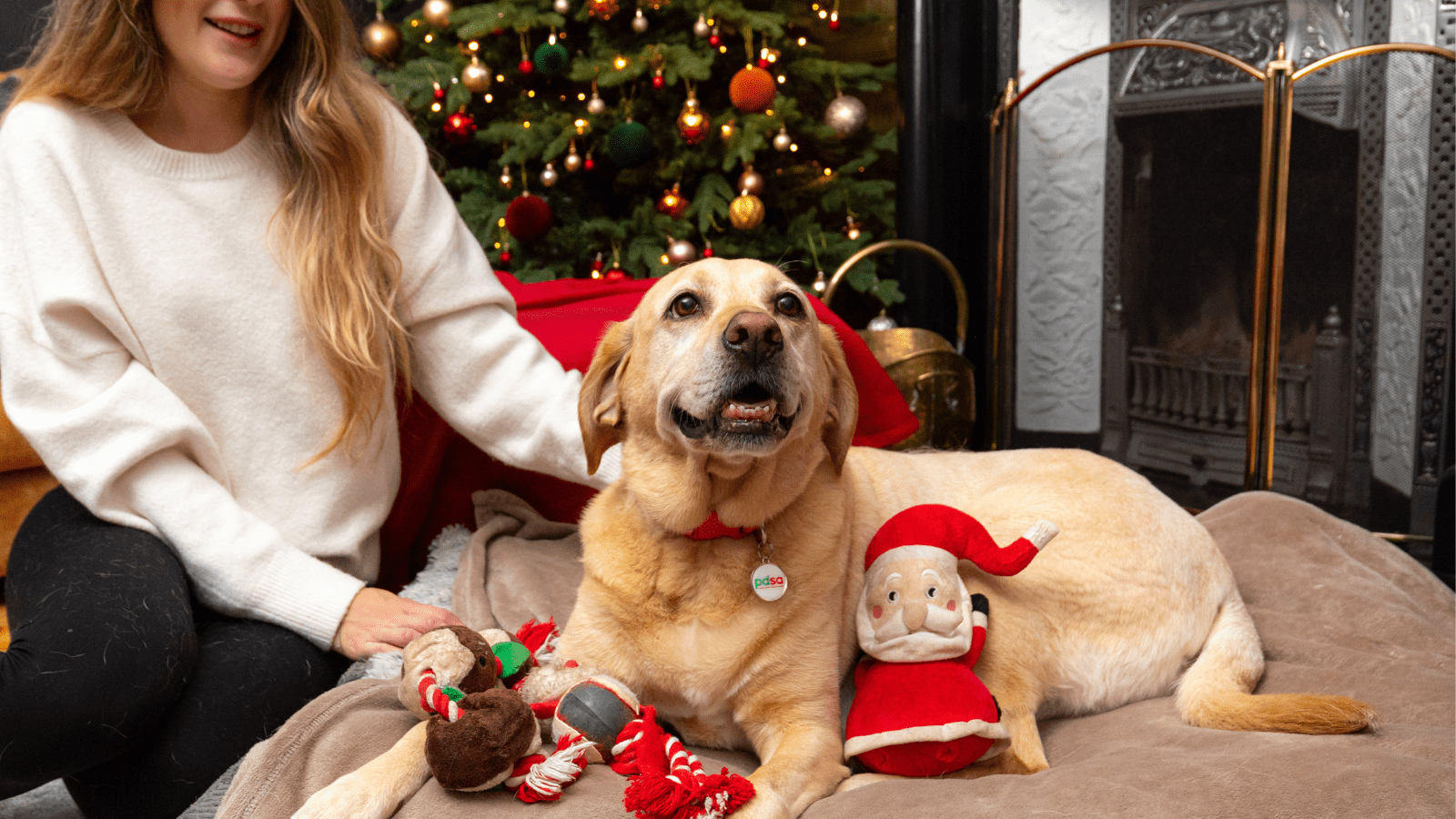 Together this Christmas - PDSA