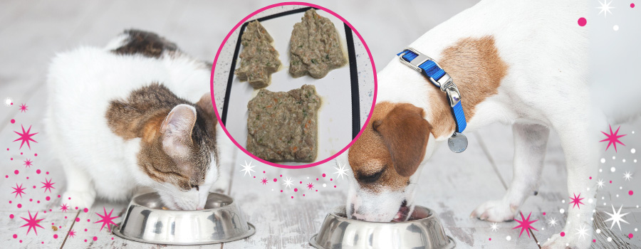 Homemade Christmas Dinner Recipe for Cats and Dogs - PDSA