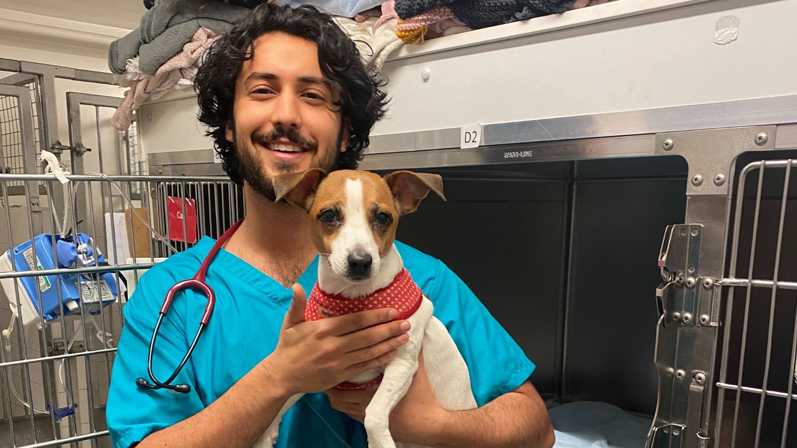Meet one of our aspiring Graduate Vets, Cian - PDSA