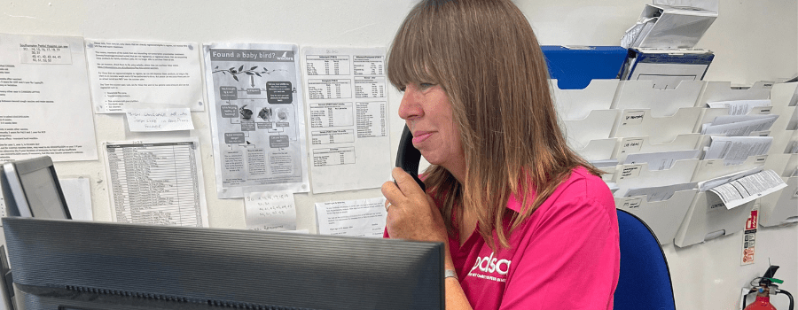 A day in the life with Veterinary Receptionist Karen - PDSA