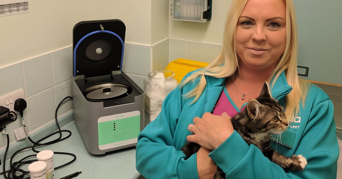 Aston Pet Hospital receives funding boost - PDSA