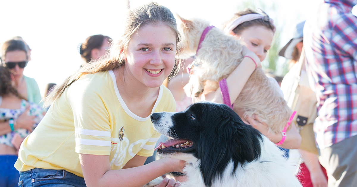 PDSA PetLife18 - Fun in the Bank Holiday sun! - PDSA