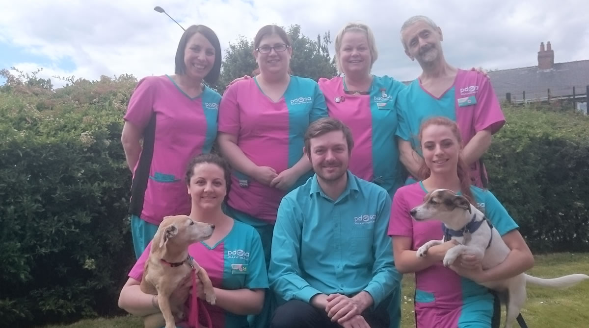 PDSA vets abseil for poorly pets - PDSA