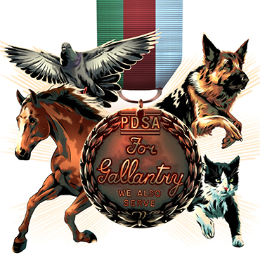 Help a vet help a pet - PDSA