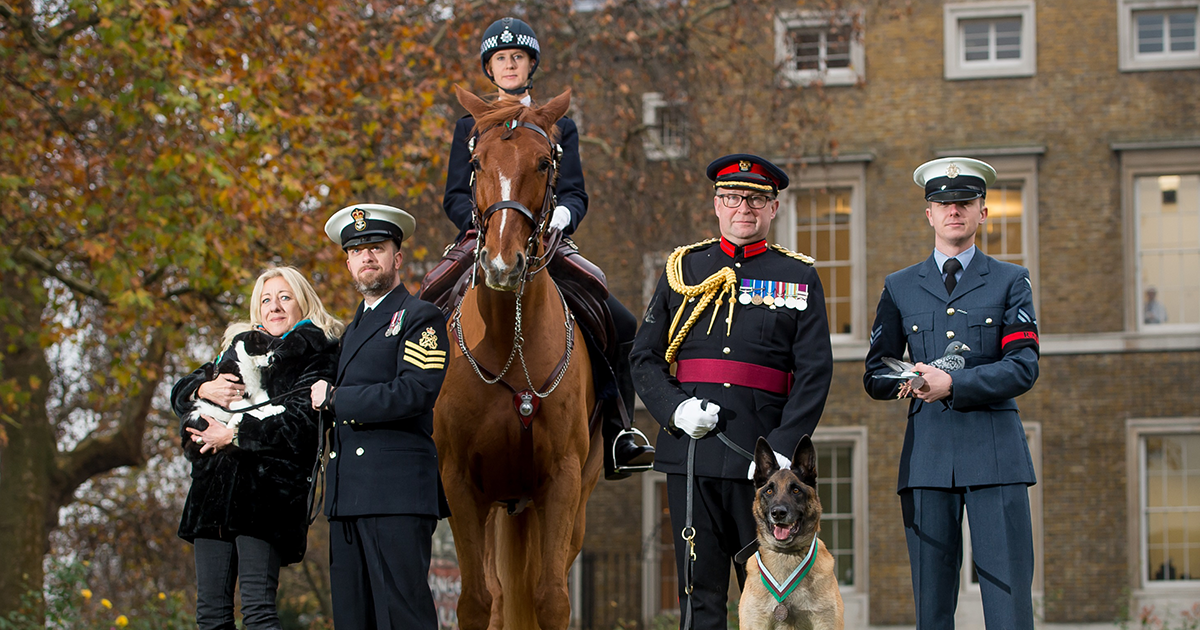 'Animal VC' reaches 75th anniversary - PDSA