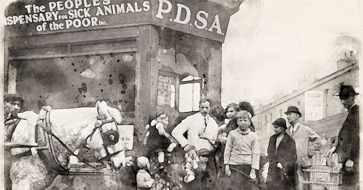 151 years on: the story of Maria Dickin and PDSA - PDSA