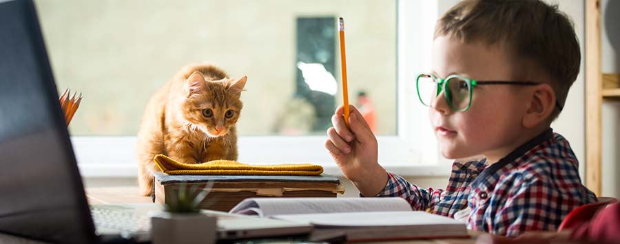 Pet-themed home schooling during lockdown - PDSA