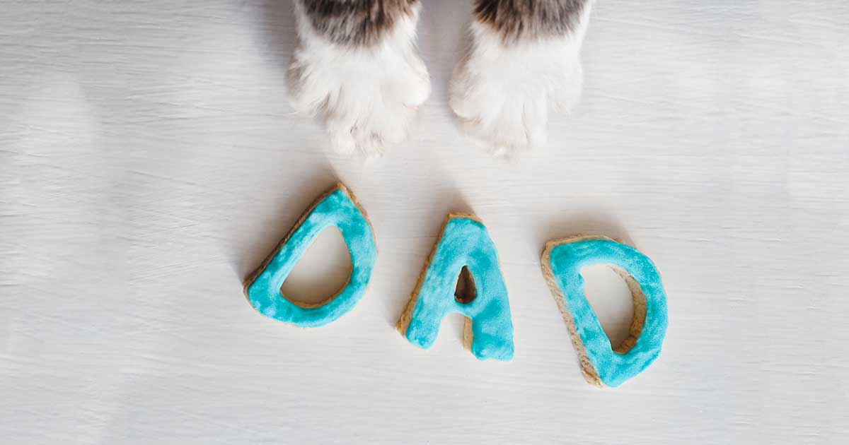 Five signs you’re a pet dad - PDSA