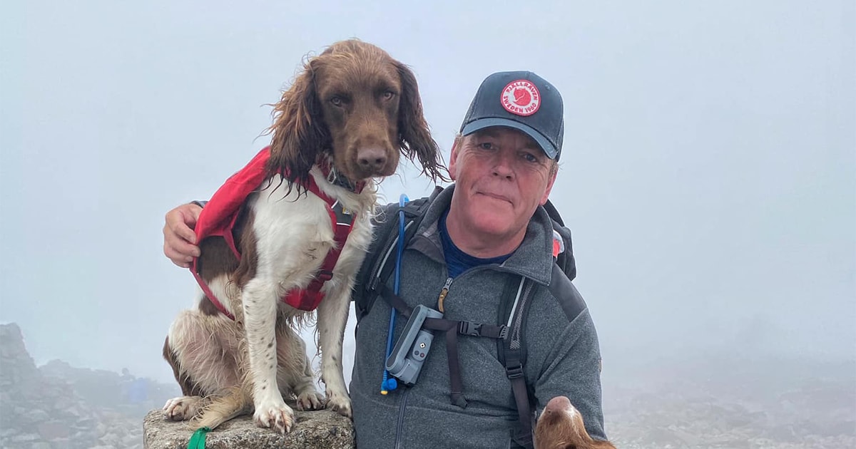 Kerry and his pooches reach heady new heights - PDSA